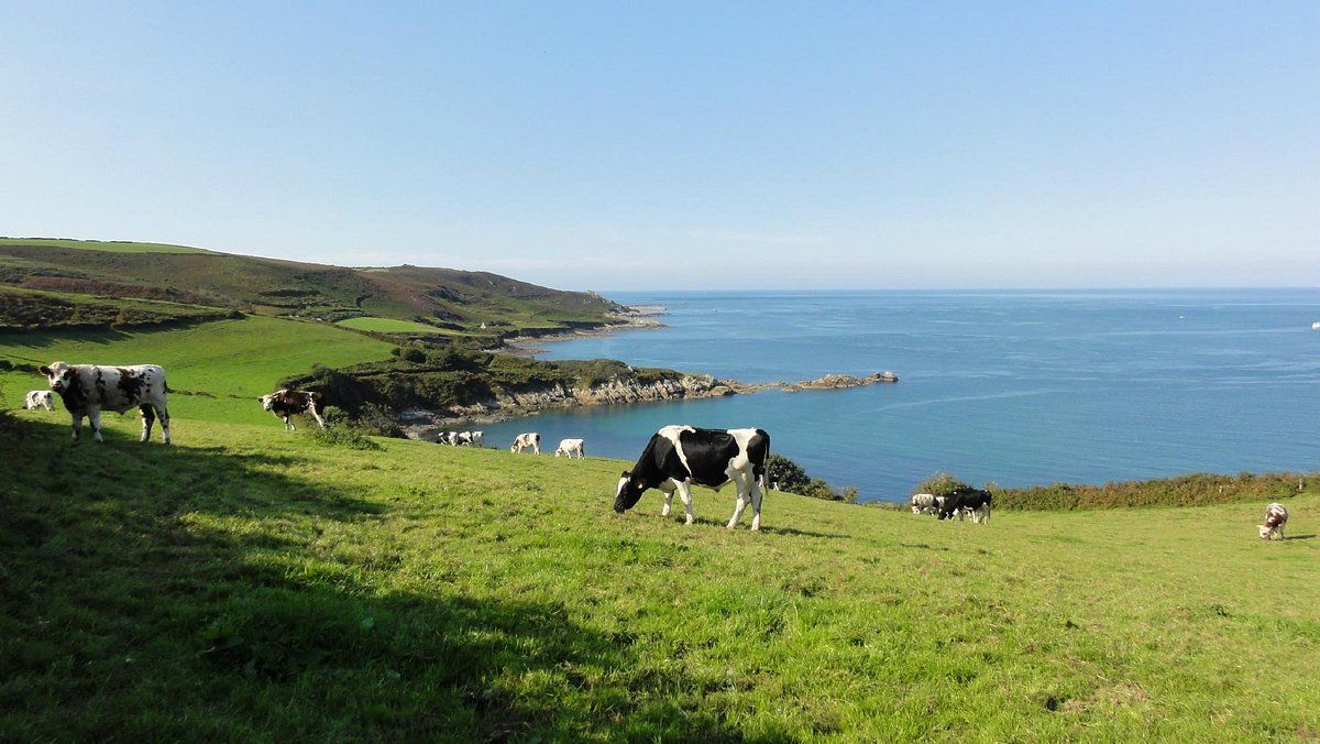 Isigny-sur-Mer WW2 D-Day History and Present Day – D-Day Center