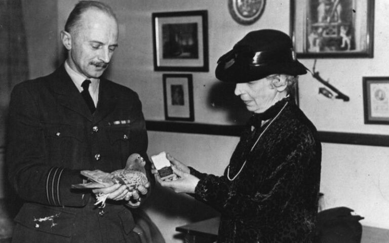 Animals Used in WW2 Combat – D-Day Center