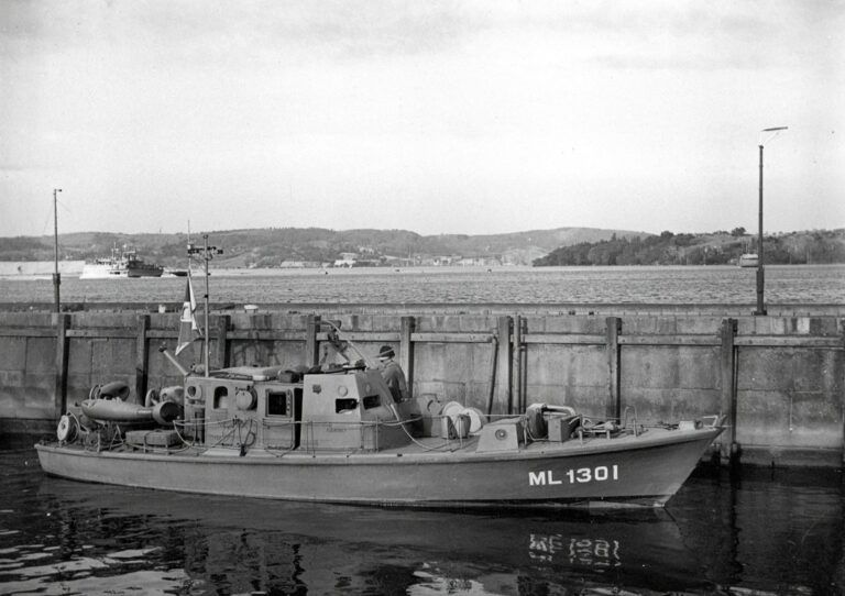 Operation Tiger: The Forgotten Rehearsal that Shaped Allied Victory – D ...